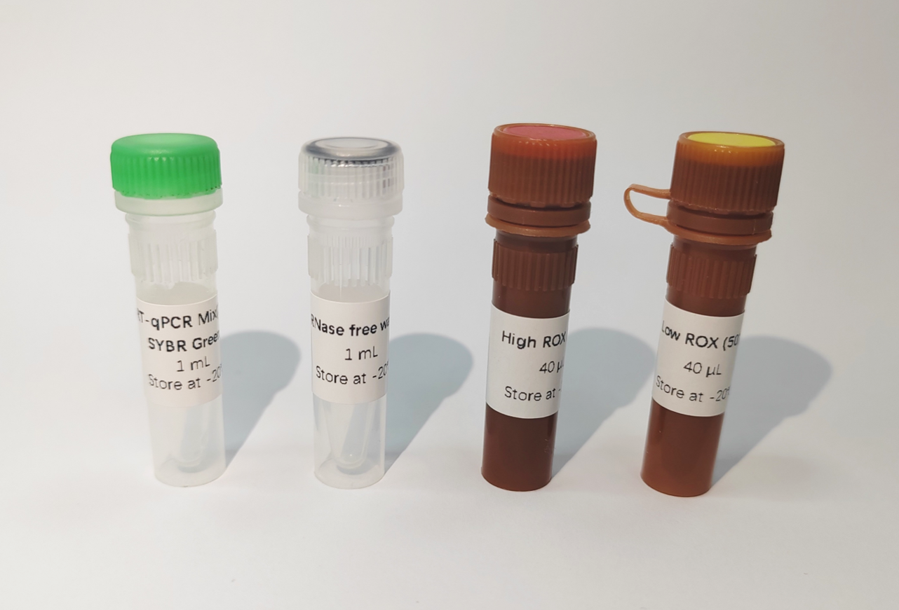 一步法qRT-PCR试剂盒（SYBR Green）_转染相关产品-北京多纳医药科技有限公司官网